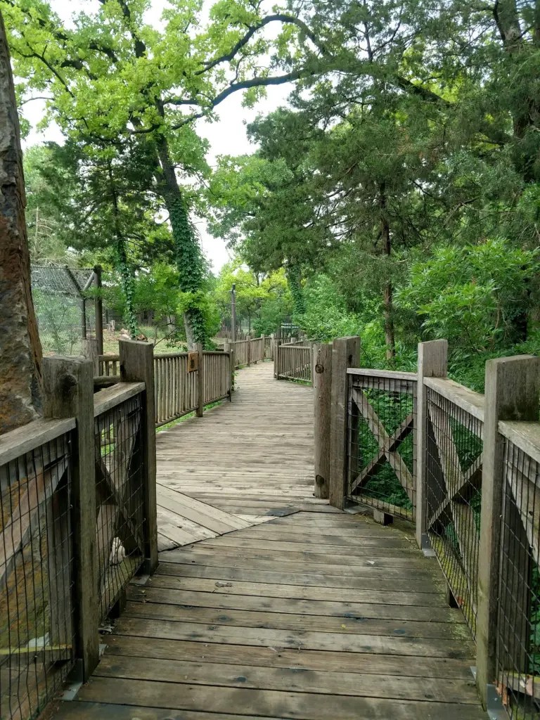 Follow your own path! – Oklahoma Blogger