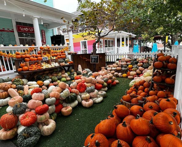 Katiebug’s Sips & Sweets! – Oklahoma Blogger