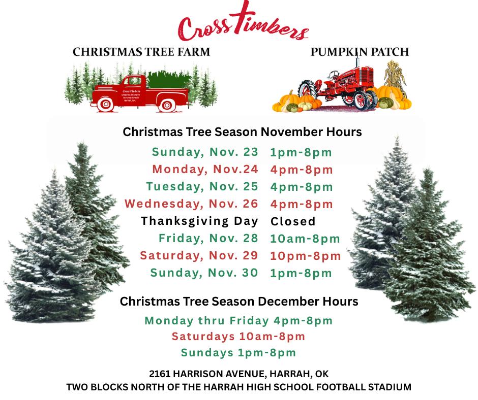 Cross Timbers Christmas Tree Farm and Pumpkin Patch! – Oklahoma Blogger